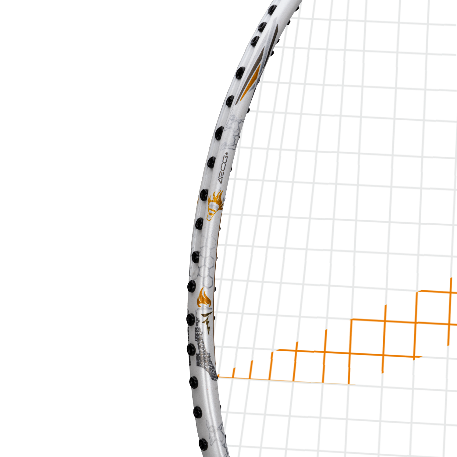 Hundred Glory Limited Edition – Hundred India